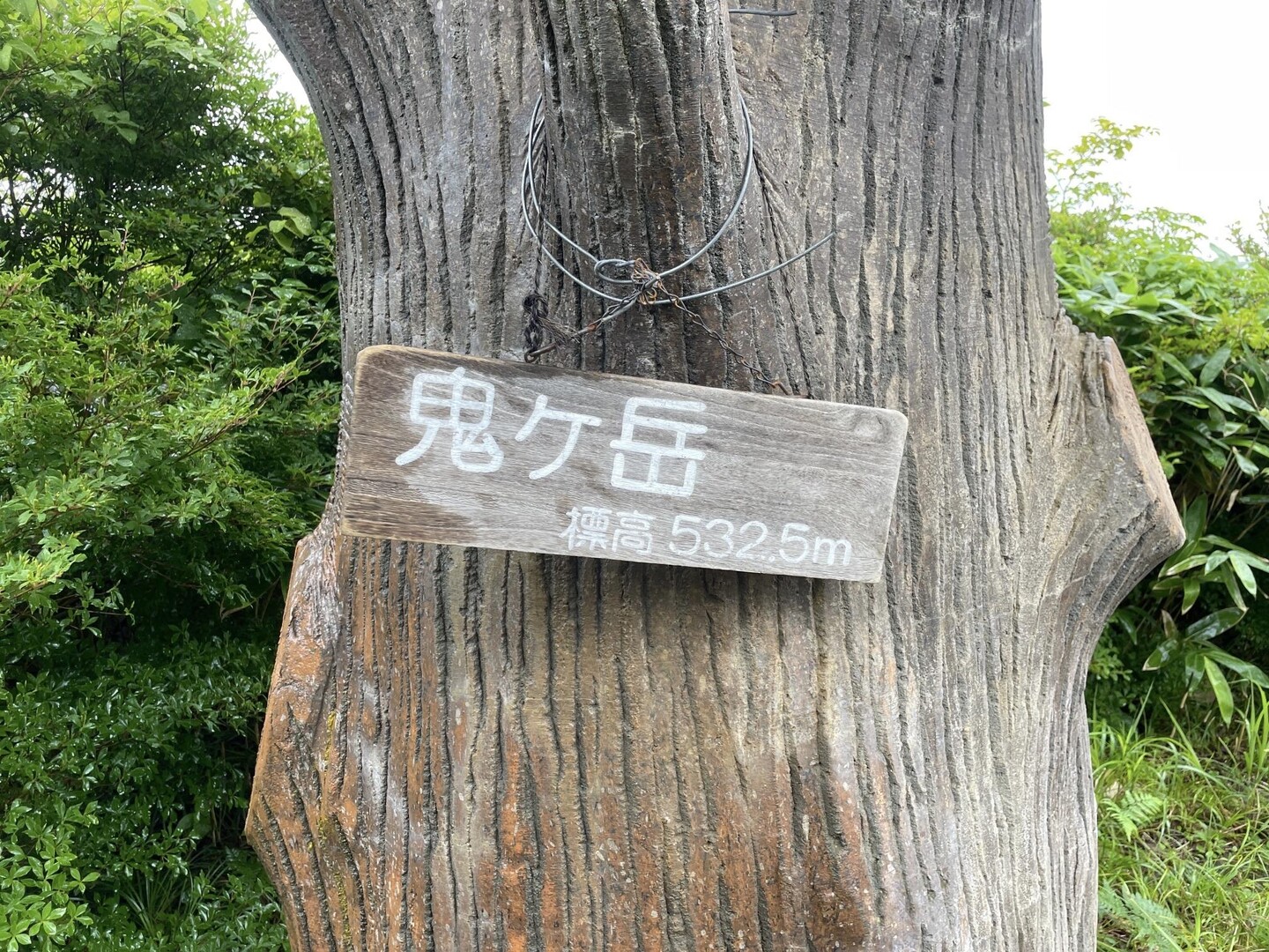 マラソン終わりに傘さし鬼👹3トレ / JOG太郎さんの鬼ヶ岳の活動データ | YAMAP / ヤマップ