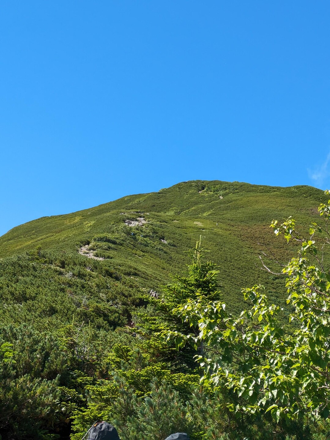 小仙丈ヶ岳 / Hiro-Tさんの仙丈ヶ岳・伊那荒倉岳の活動データ | YAMAP / ヤマップ