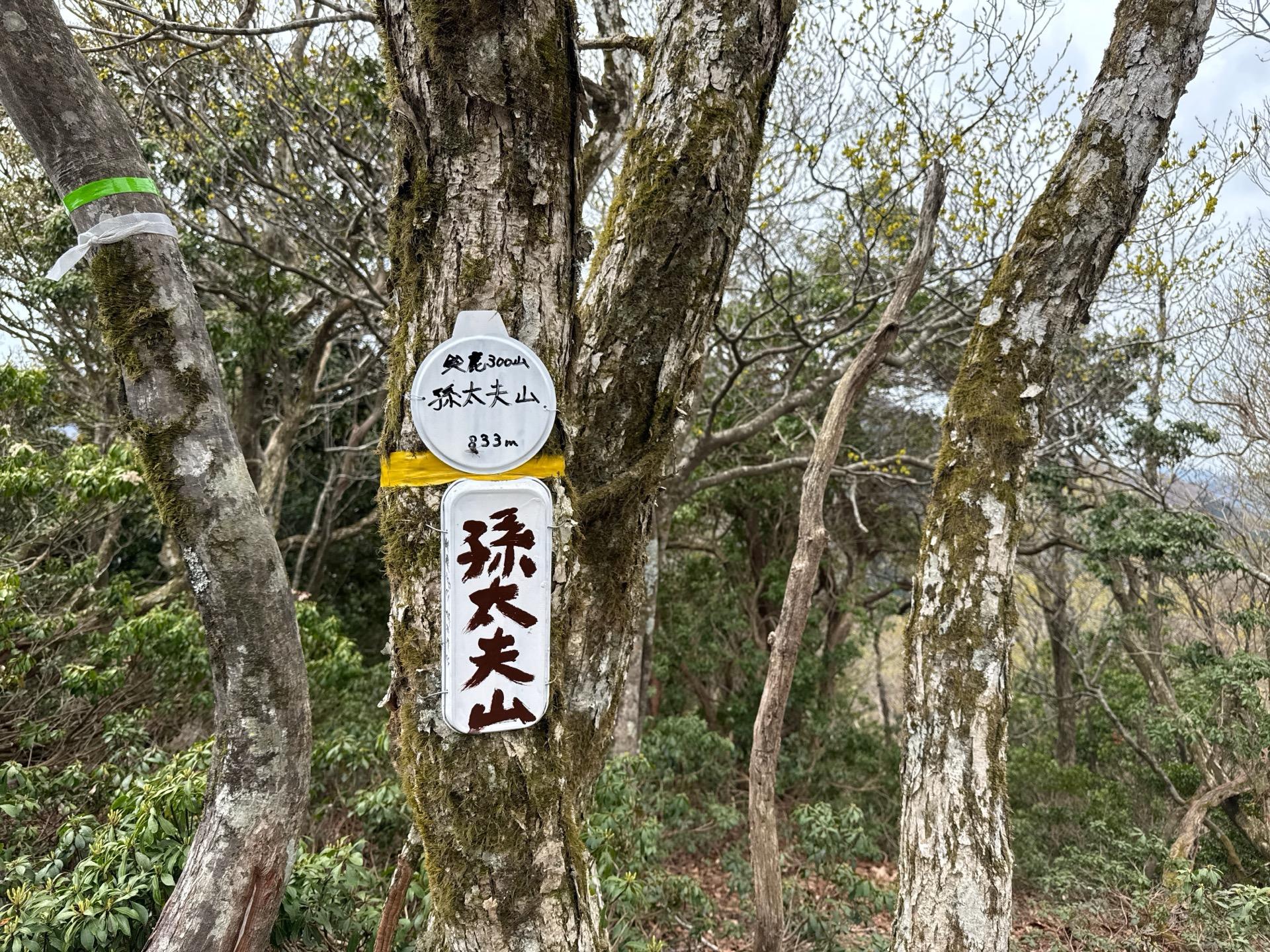 先日の山行時 うっかり 忘れておりました... / Milkyさんのモーメント | YAMAP / ヤマップ