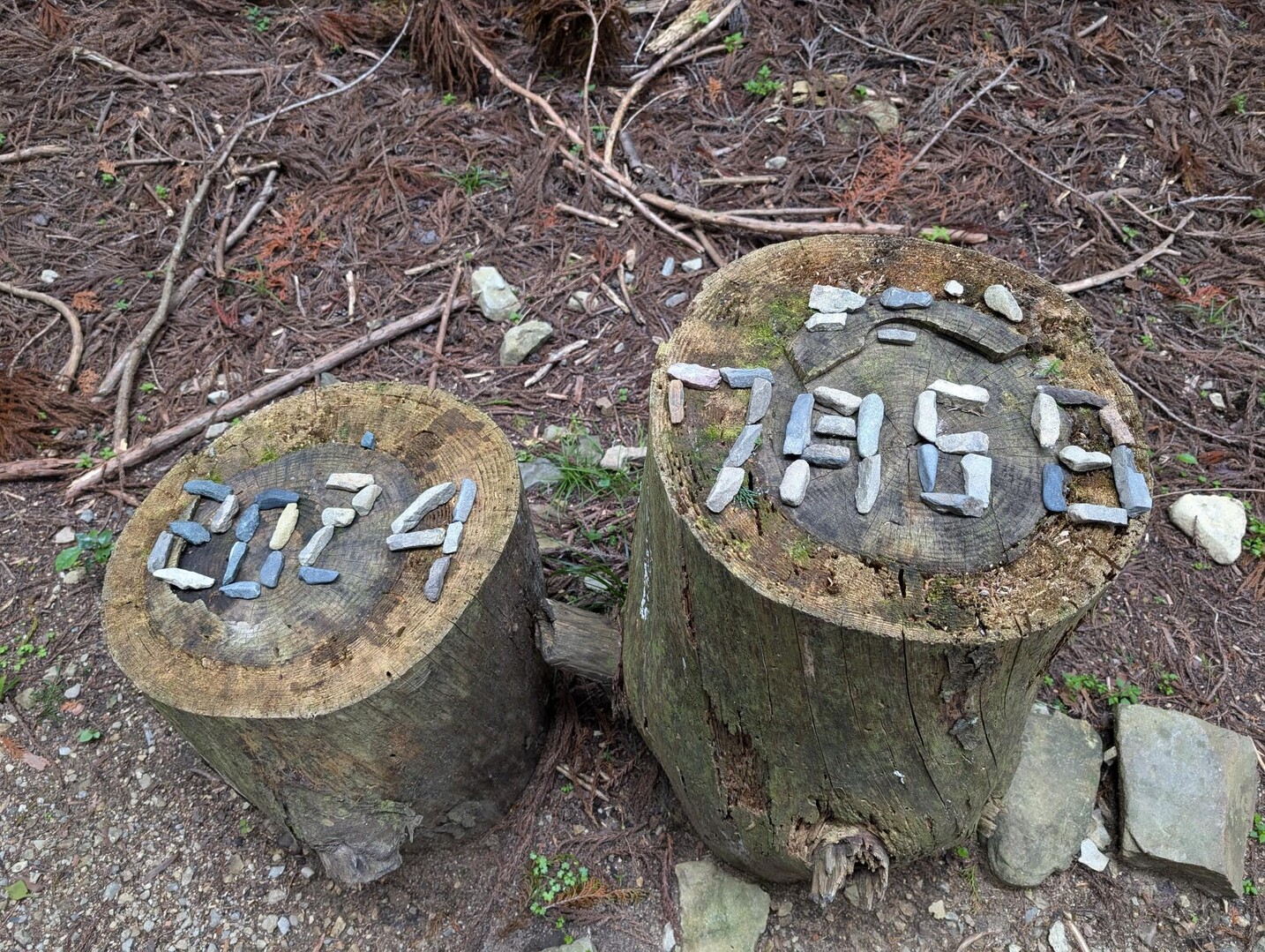 リハビリの秋葉山 / Te ruさんの秋葉山の活動データ | YAMAP / ヤマップ