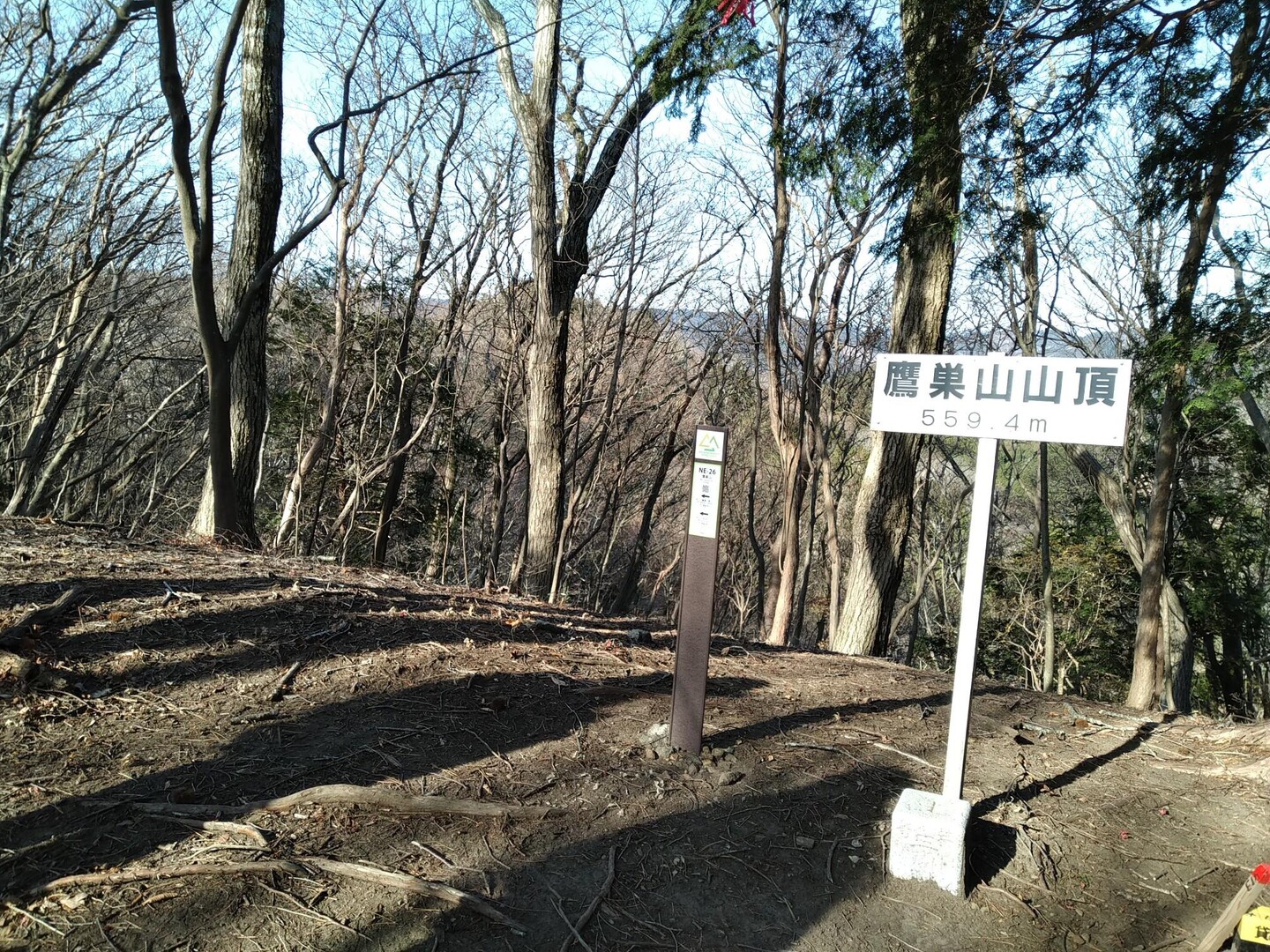 2024.12.20 Road of the YAMAP手ぬぐい@水沼山・鷹巣山 / Psycleさんの鷹巣山の活動データ | YAMAP / ヤマップ