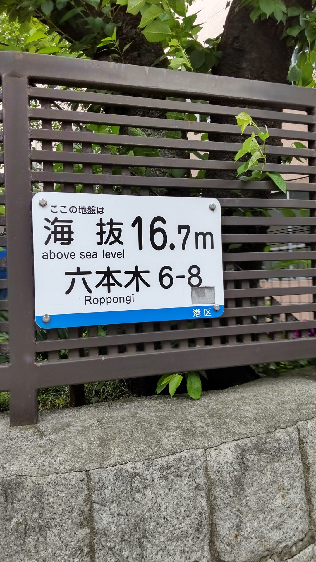 六本木6-8 海抜16.7m👍 こうい... / ドラちゃんさんのモーメント | YAMAP / ヤマップ