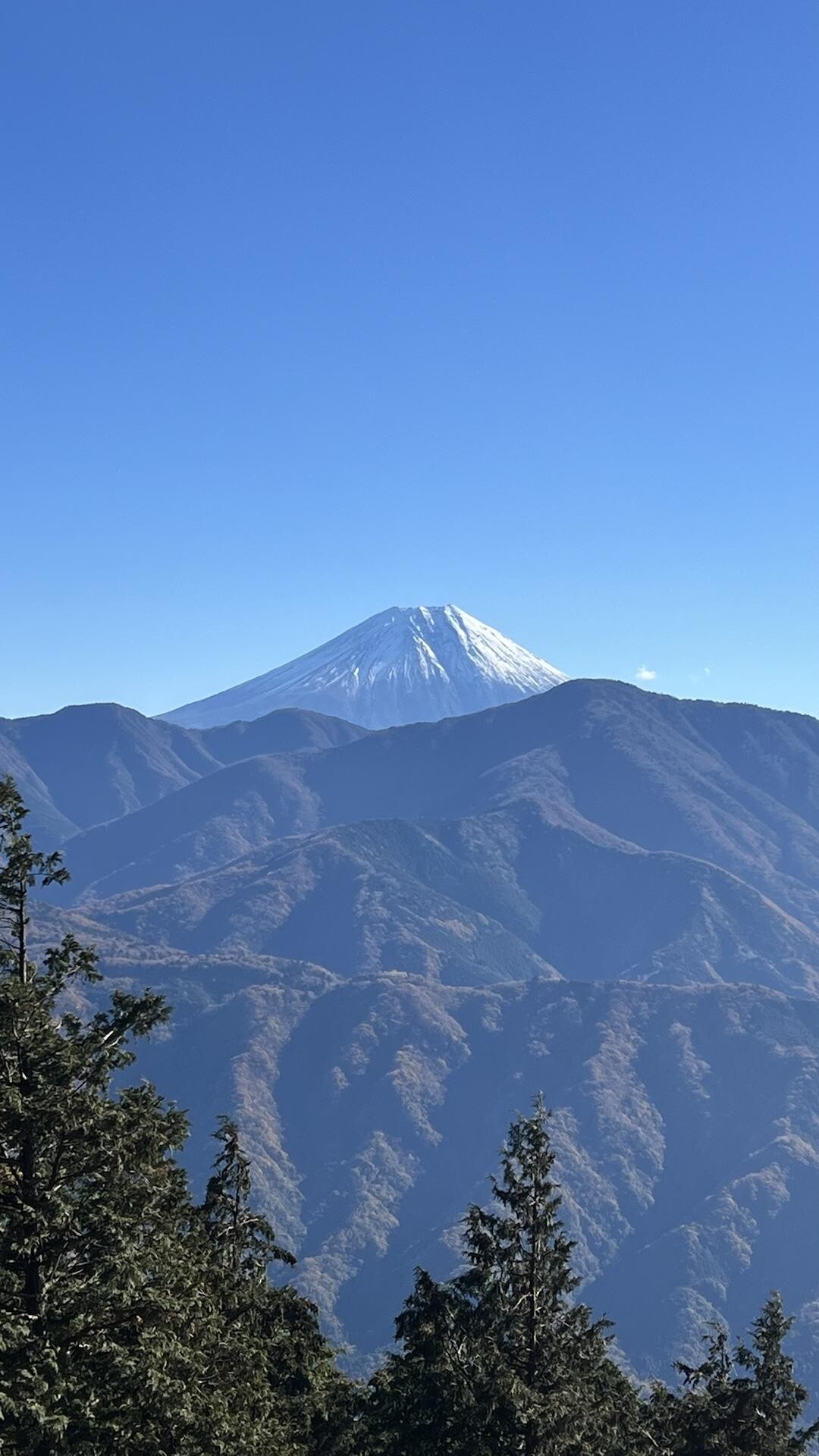身延山・紅葉🍁 / hanさんの七面山・身延山の活動日記 | YAMAP / ヤマップ
