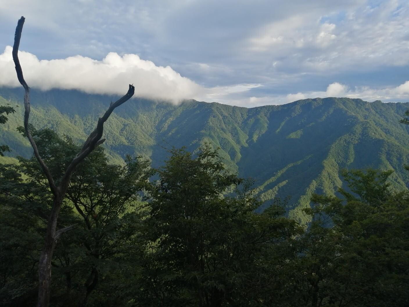 丸山・本谷山 / TK-1111さんの傾山の活動データ | YAMAP / ヤマップ