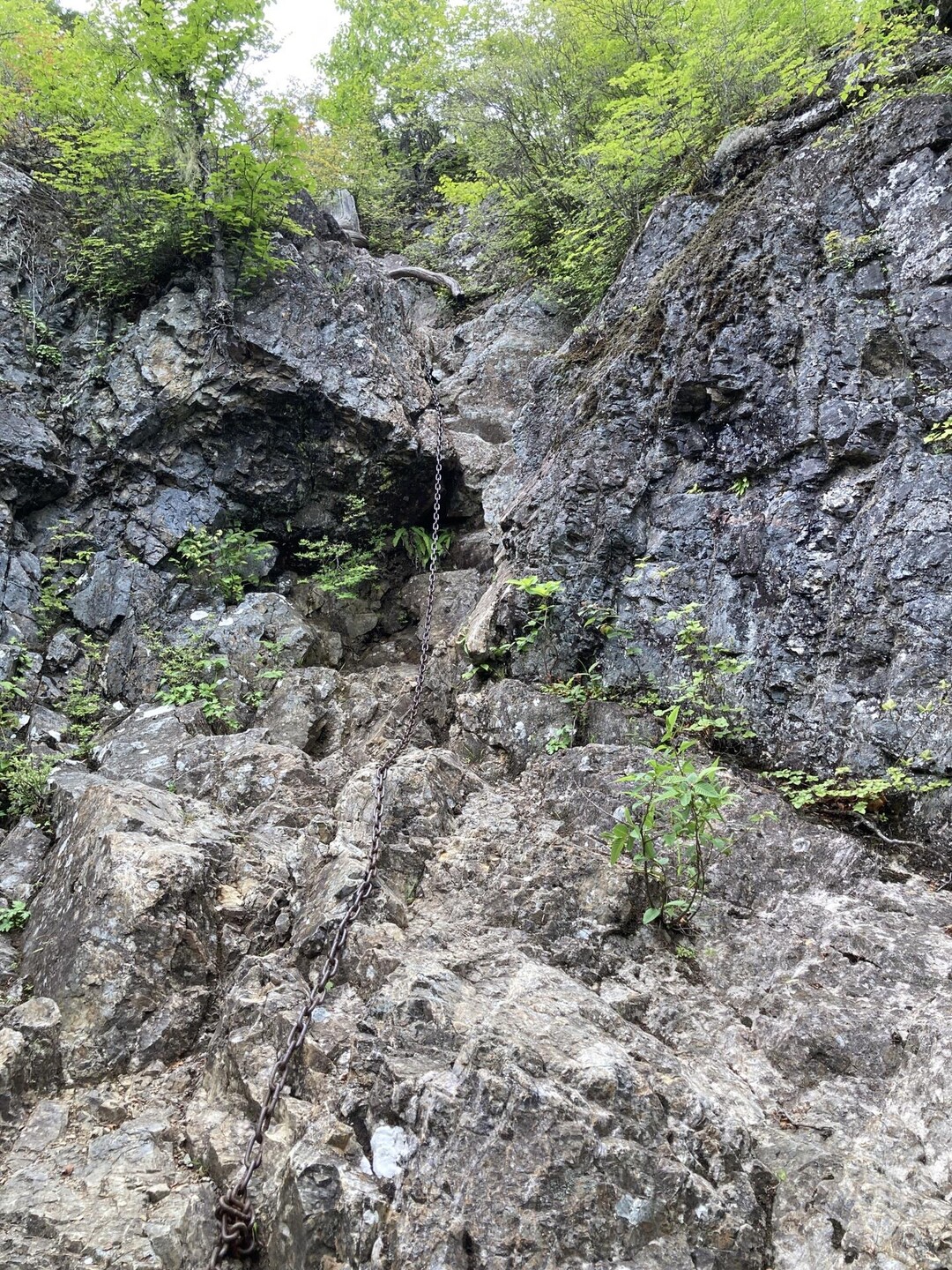 両神山(上落合登山口) / K.TAIRAさんの両神山・諏訪山・二子山の活動データ | YAMAP / ヤマップ