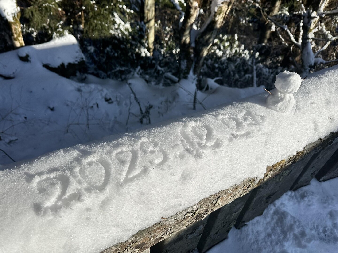今年のクリスマスは体調悪く、軽く雪山で過... / rinさんのモーメント | YAMAP / ヤマップ