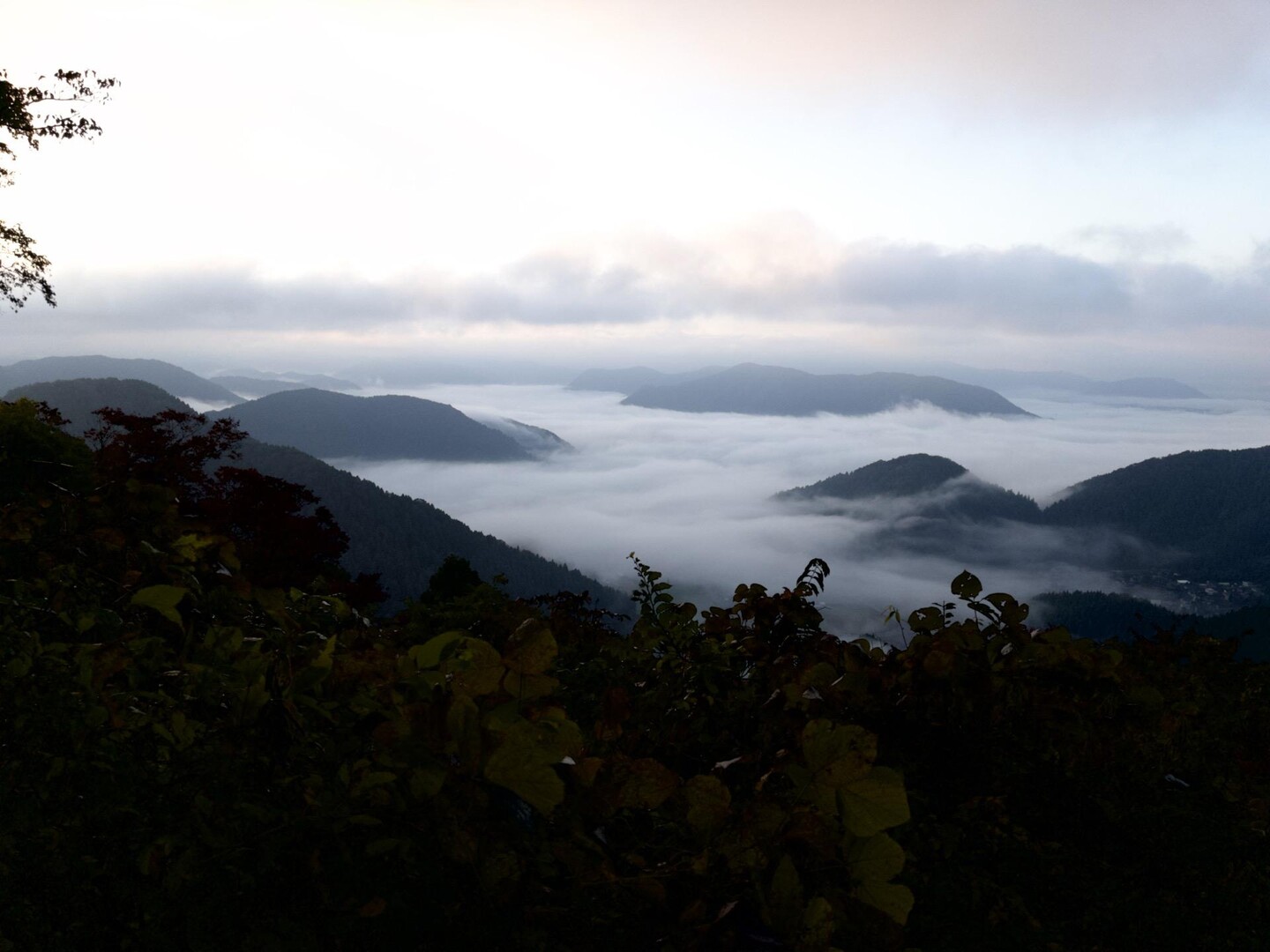 文殊山 / mu_mu_muさんの文殊山の活動データ | YAMAP / ヤマップ