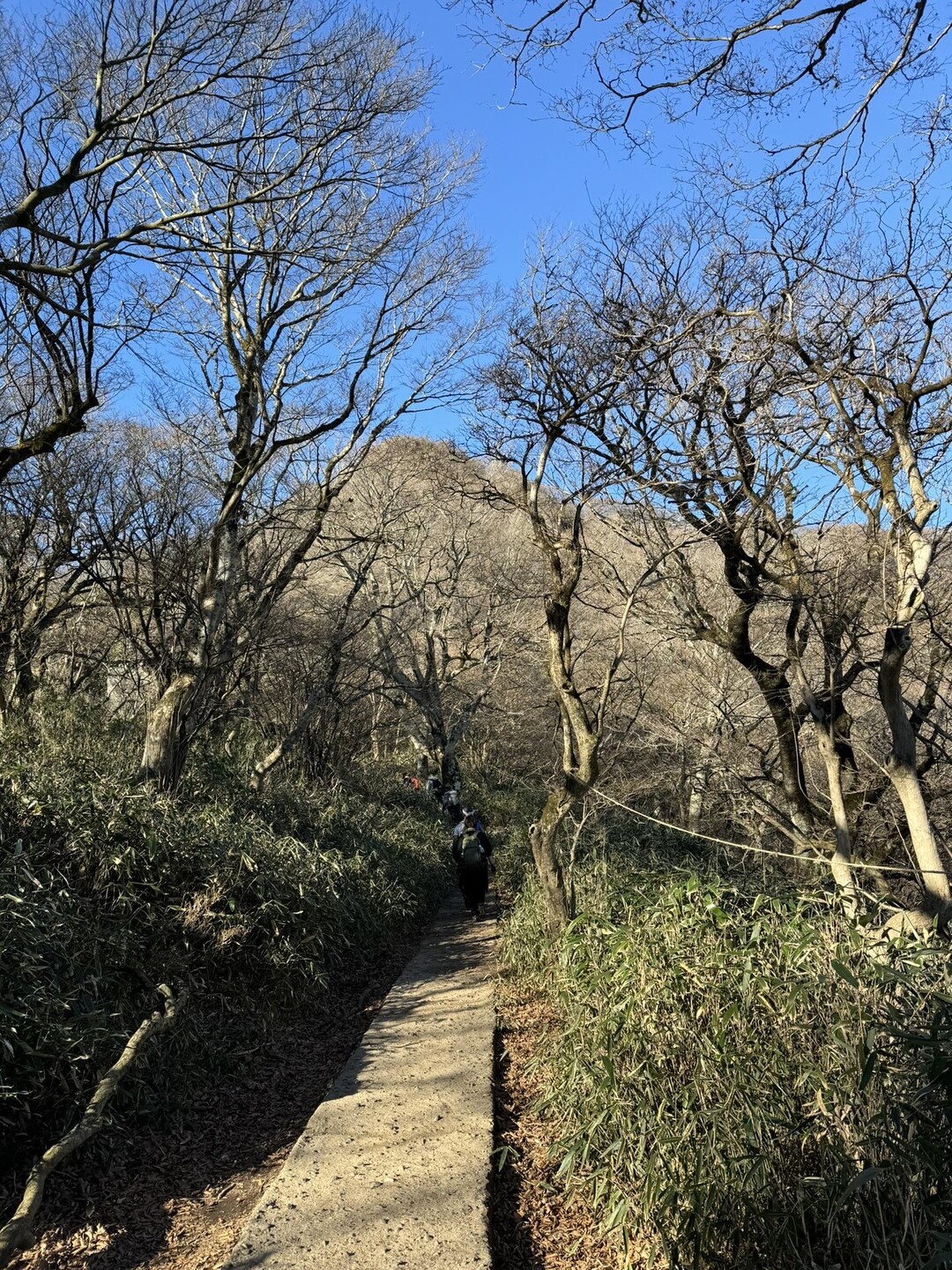 筑波山（女体山）・筑波山（男体山） / Kzさんの筑波山の活動データ | YAMAP / ヤマップ