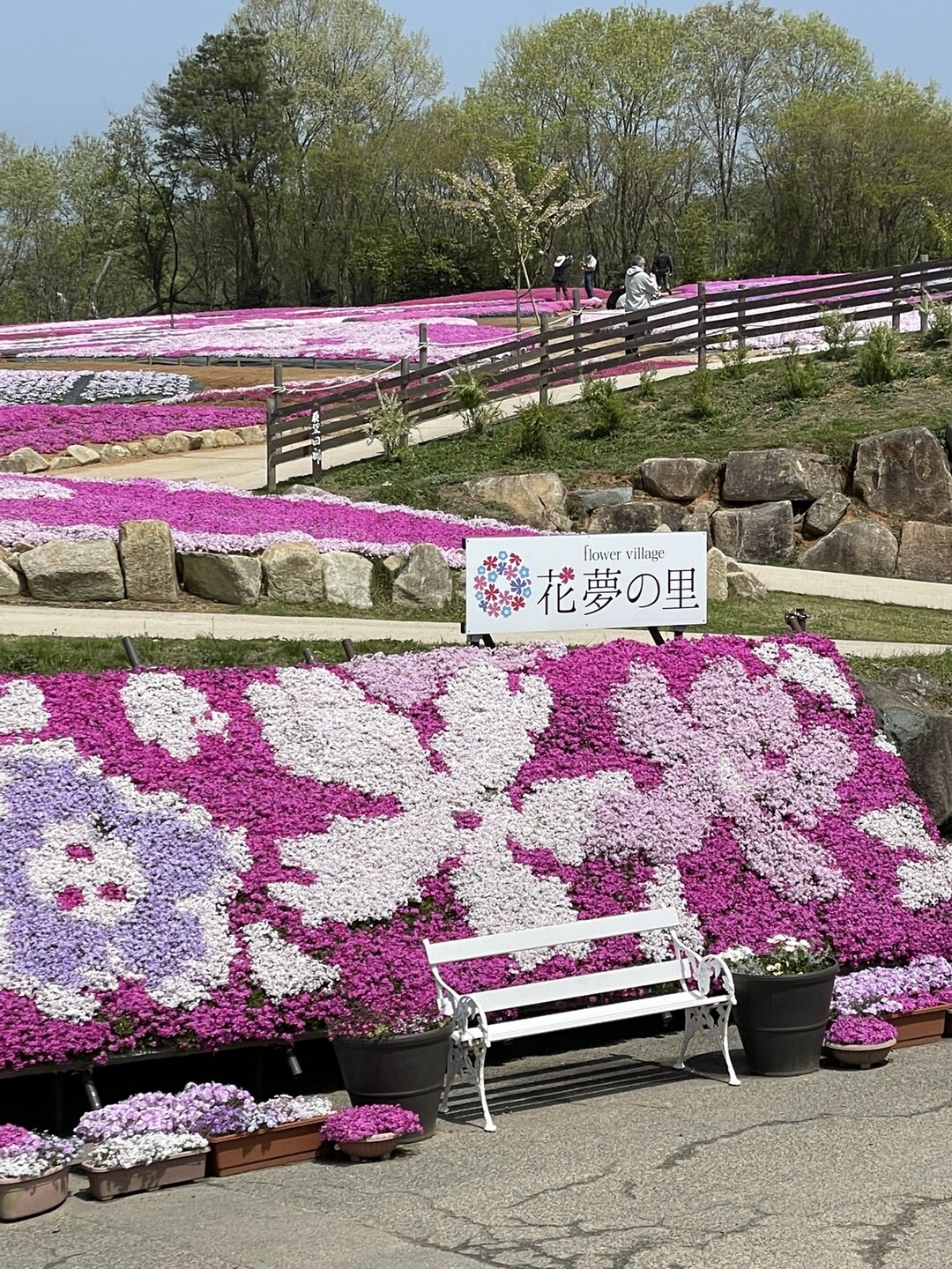 ウォーキング-2022-04-22 / non nonさんのウォーキングの活動日記 | YAMAP / ヤマップ