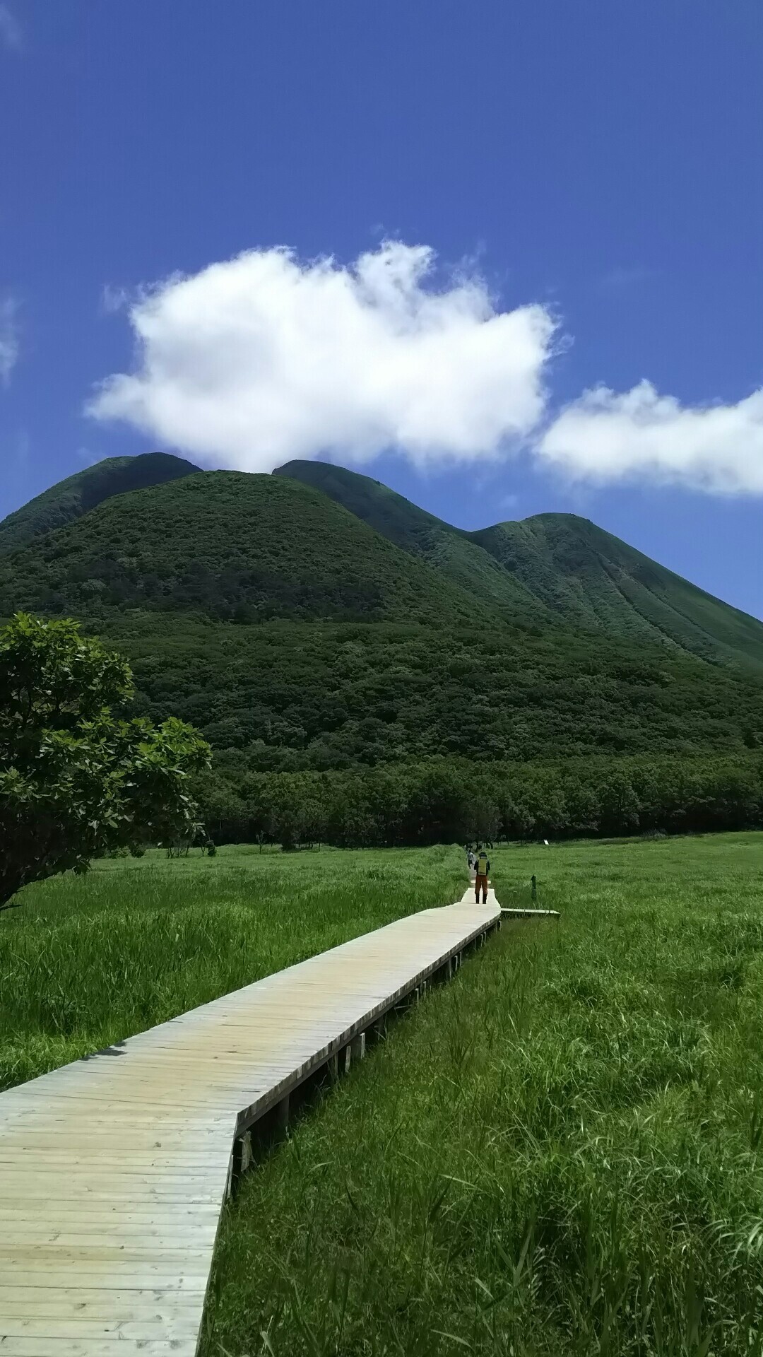 wakky!!のページ | YAMAP / ヤマップ