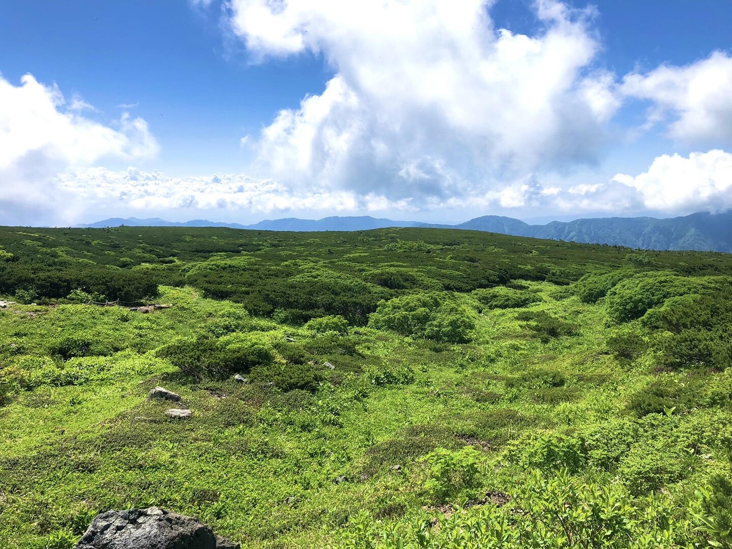 大倉山・白山（御前峰） / Arc'manさんの白山・別山・銚子ヶ峰の活動データ | YAMAP / ヤマップ