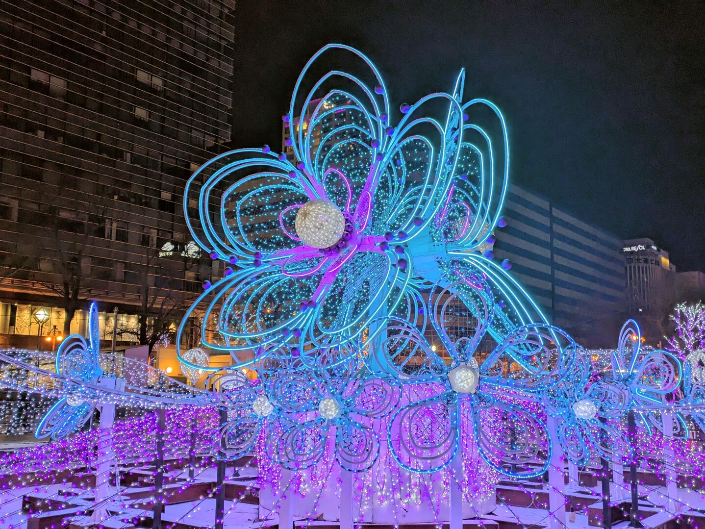 ️ 大通公園 illumination / ☆futa☆さんの札幌市の活動データ | YAMAP / ヤマップ