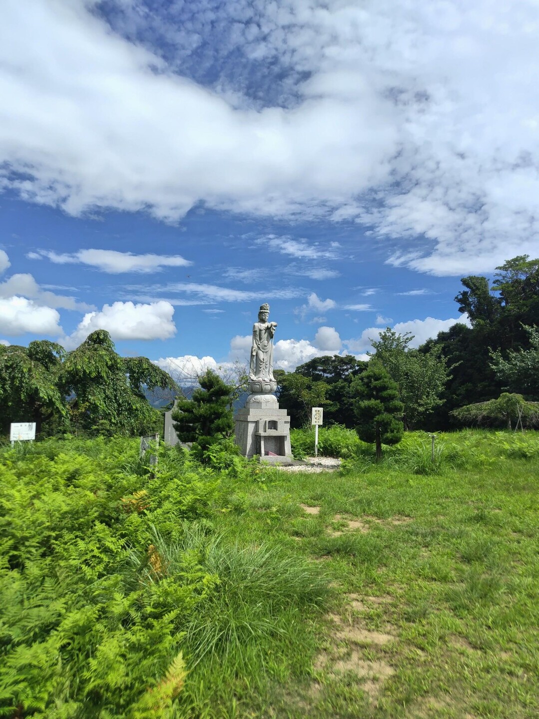 暑いっ！飯田山☀️🌿 R6.7.9 / かわとんぼさんの益城町の活動データ | YAMAP / ヤマップ