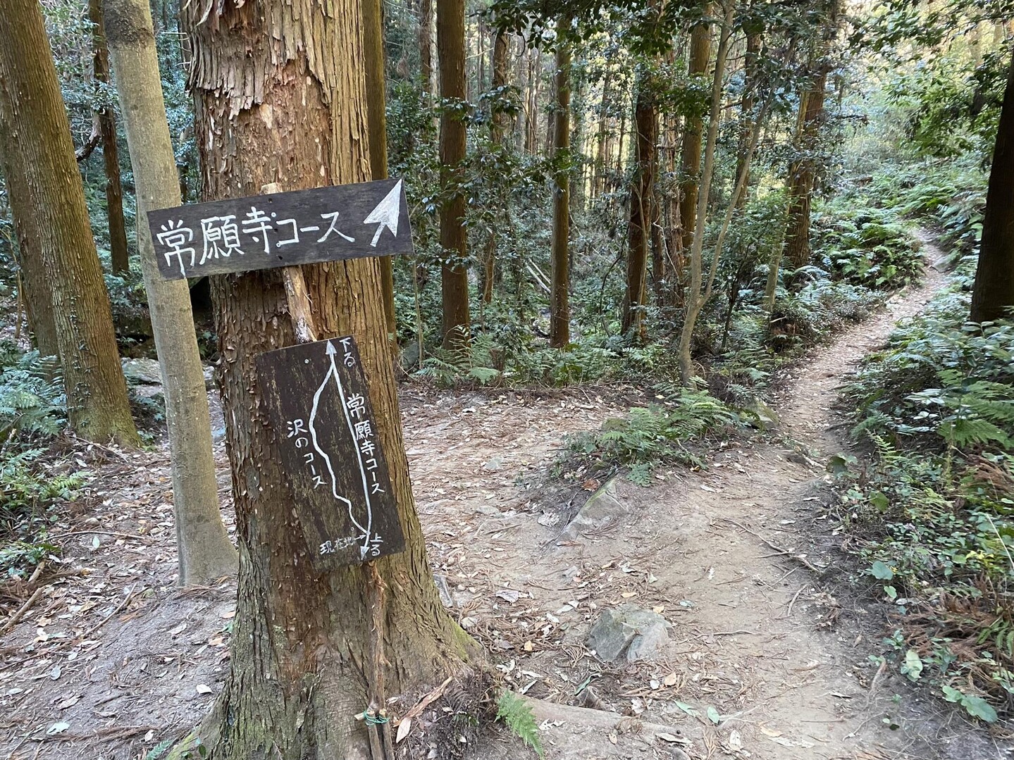 Gentil15さんの投稿したフィールドメモ | YAMAP / ヤマップ