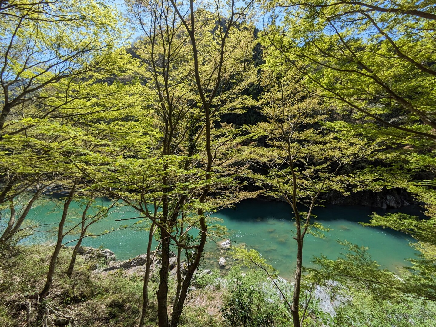 新緑の祖谷渓谷 / BIK局長さんの国見山の活動データ | YAMAP / ヤマップ