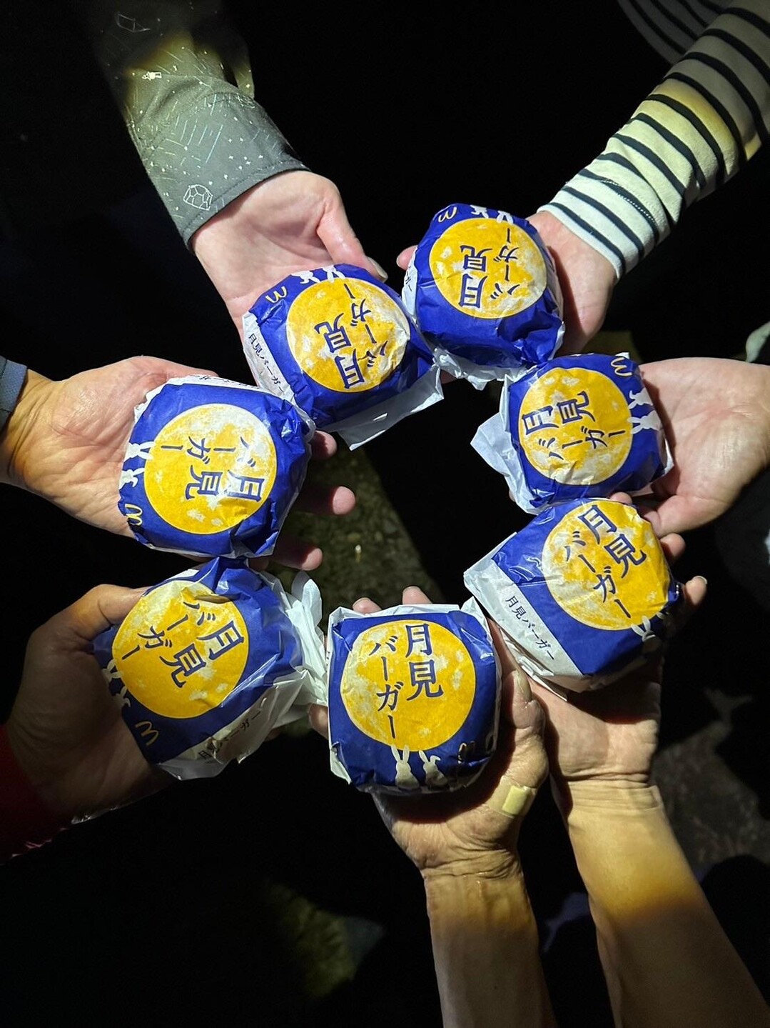 お月見🌕角田山2024/9/17 / megさんの角田山の活動データ | YAMAP / ヤマップ