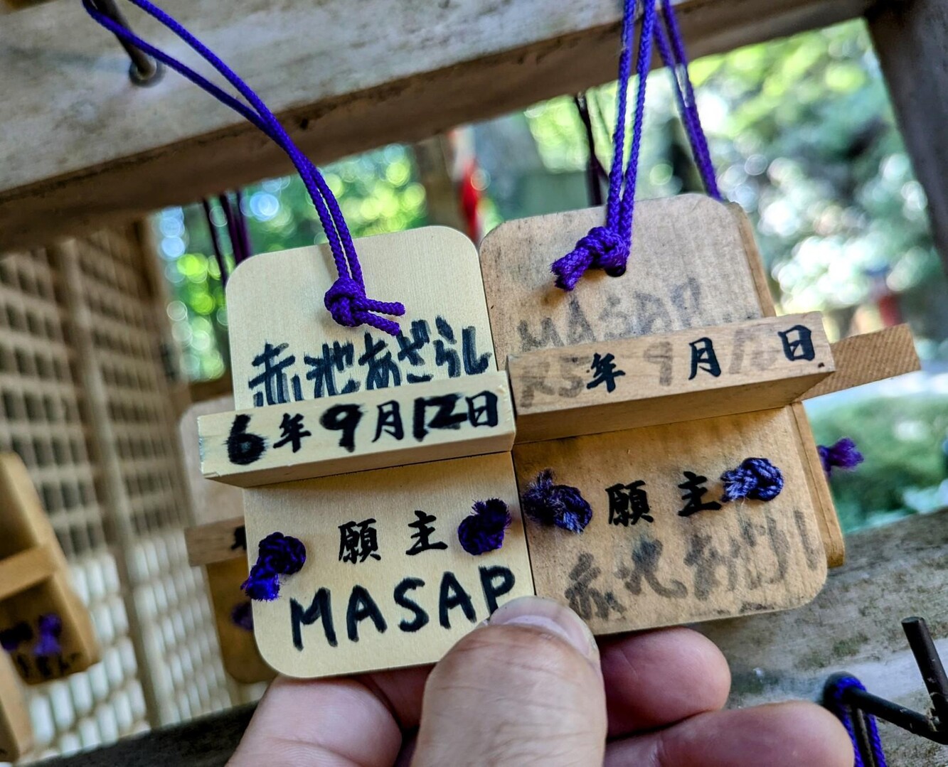 高尾山 / MASAPさんの高尾山・陣馬山・景信山の活動データ | YAMAP / ヤマップ