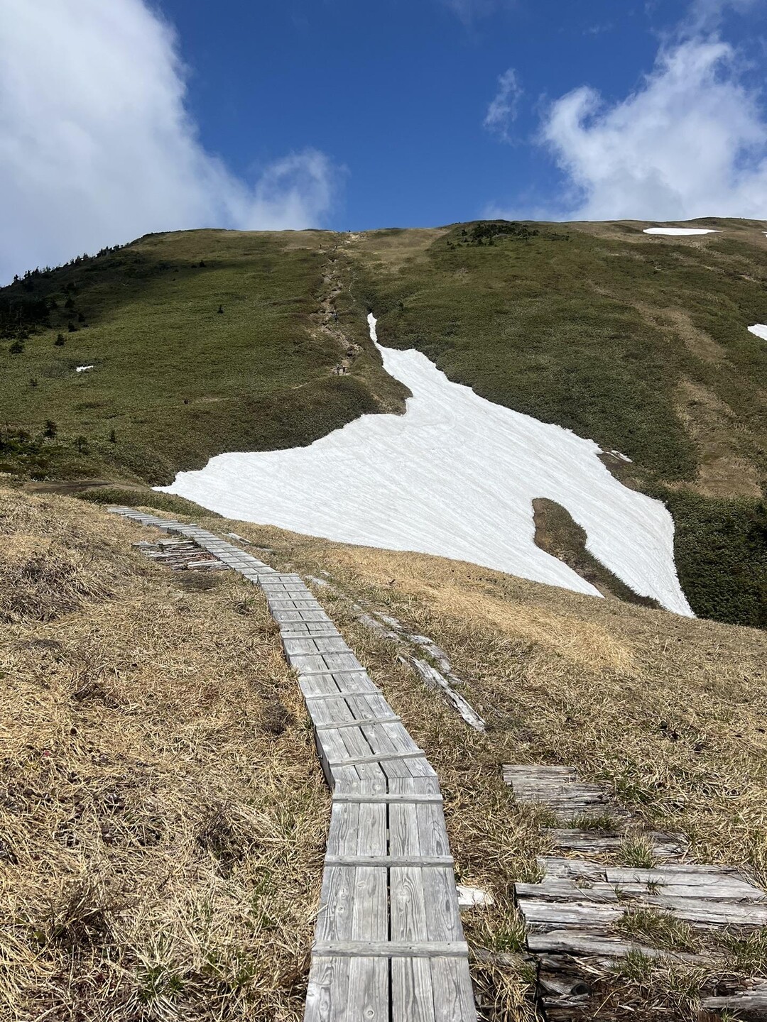 前巻機・御機屋（巻機山 山標柱）・巻機山 / よねGさんの巻機山・割引岳・金城山の活動データ | YAMAP / ヤマップ