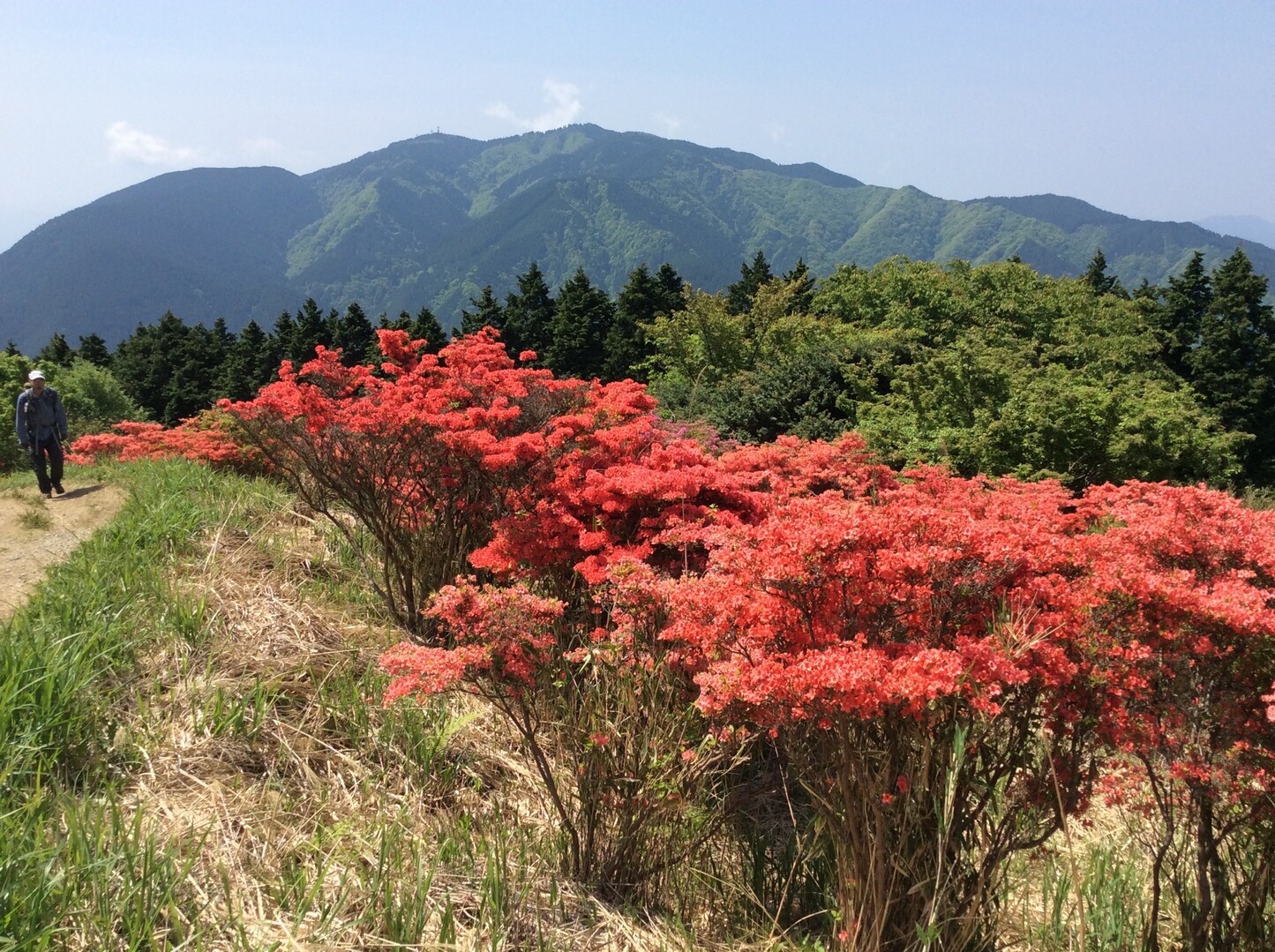 葛城山•金剛山（2015年5月10日... / blubraさんのモーメント | YAMAP / ヤマップ