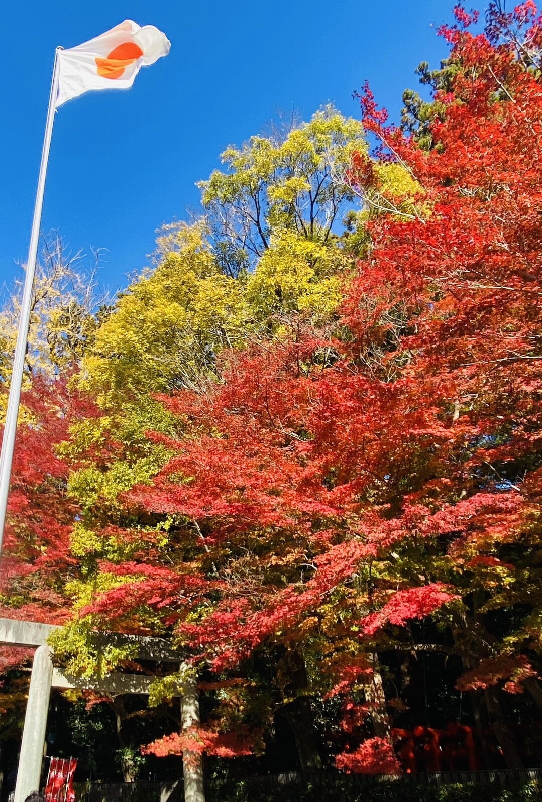 北の頭・入道ヶ岳 / miさんの入道ヶ岳・鎌ヶ岳・仙ヶ岳の活動データ | YAMAP / ヤマップ