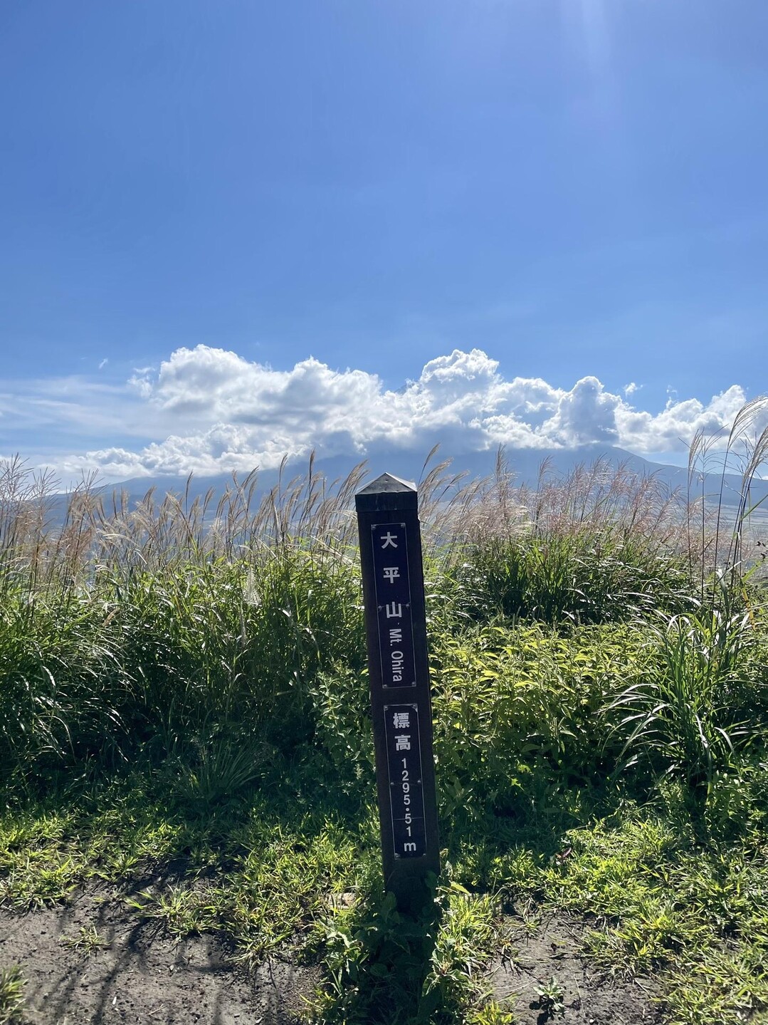 大平山（標高1,294m） / おけんさんのFUJISAN LONG TRAIL（忍野・山中湖エリア EAST）の活動データ | YAMAP / ヤマップ