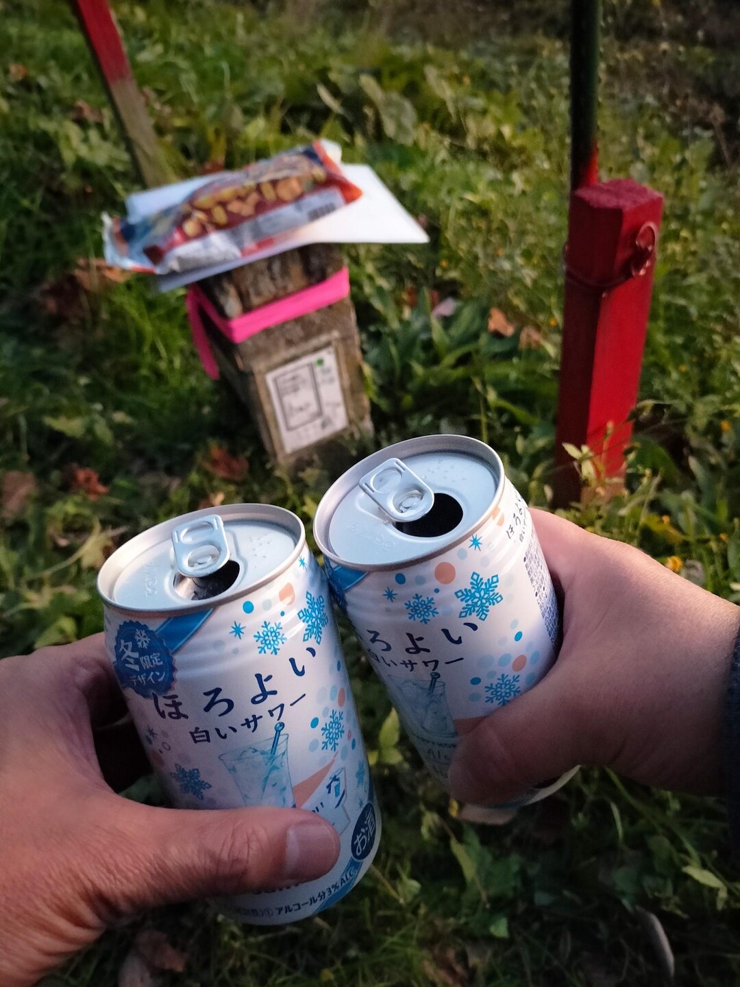 山友 祝333座 bar 😆 / toshi330さんの八王子市の活動データ | YAMAP / ヤマップ