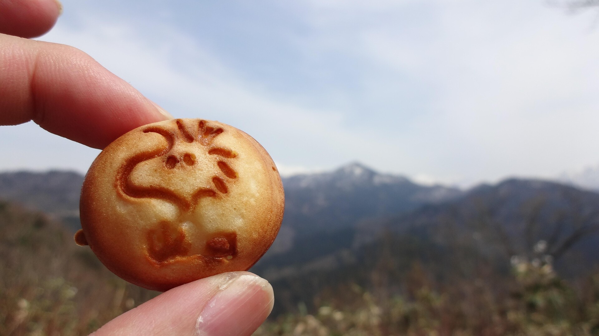 塔倉山 / ha_linaさんの塔倉山の活動データ | YAMAP / ヤマップ