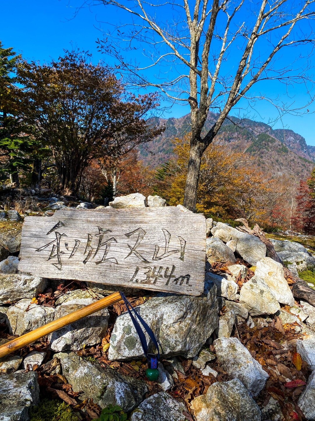 和佐又山 / okinjoさんの大峯奥駈道 その2（山上ヶ岳～太古ノ辻）の活動データ | YAMAP / ヤマップ