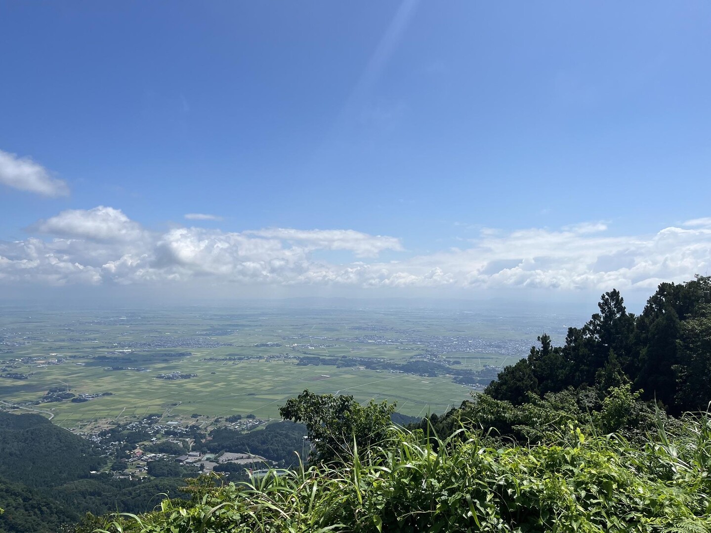 祝🇯🇵山の日⛰️弥彦山 / mkさんの弥彦山・多宝山・雨乞山の活動日記 | YAMAP / ヤマップ