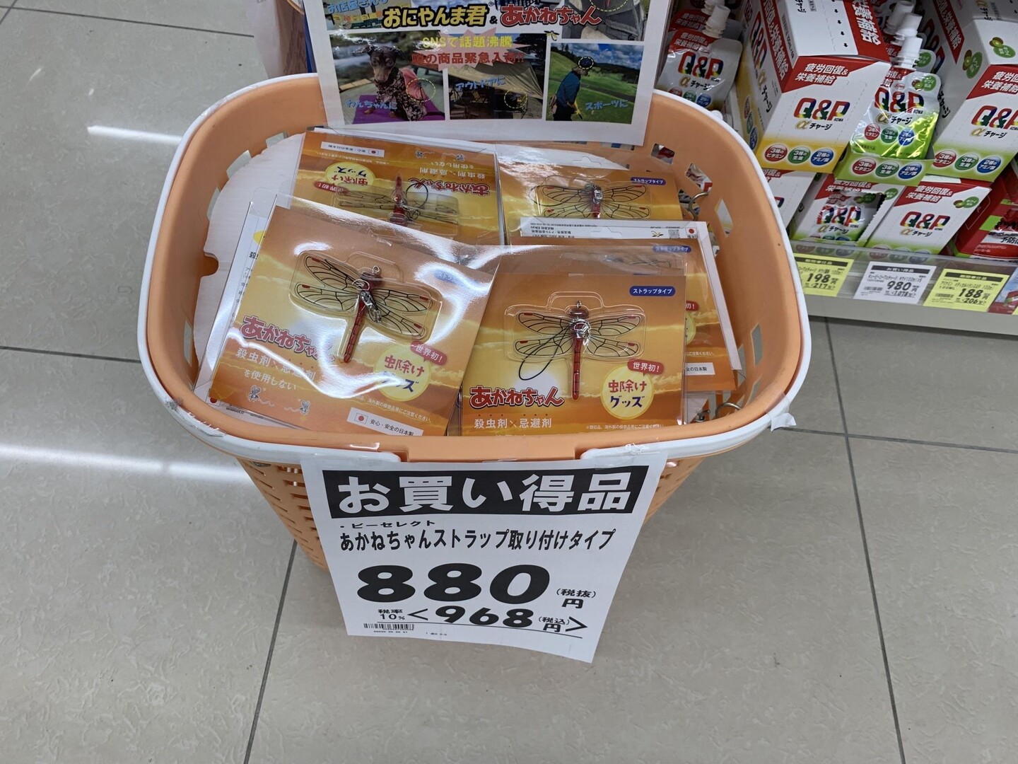 ドラッグストアで売ってた / genchさんのモーメント | YAMAP / ヤマップ