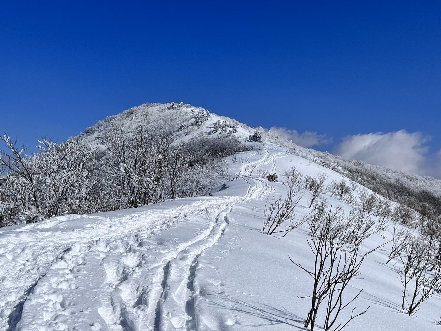 雄国山ブルー / ymatさんの磐梯山・雄国山・赤埴山の活動データ | YAMAP / ヤマップ