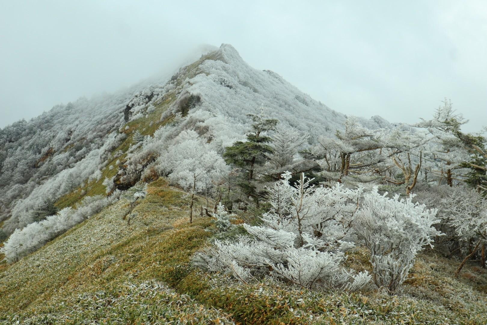 平家平・冠山 / Miekaさんの笹ヶ峰・寒風山・平家平の活動データ | YAMAP / ヤマップ