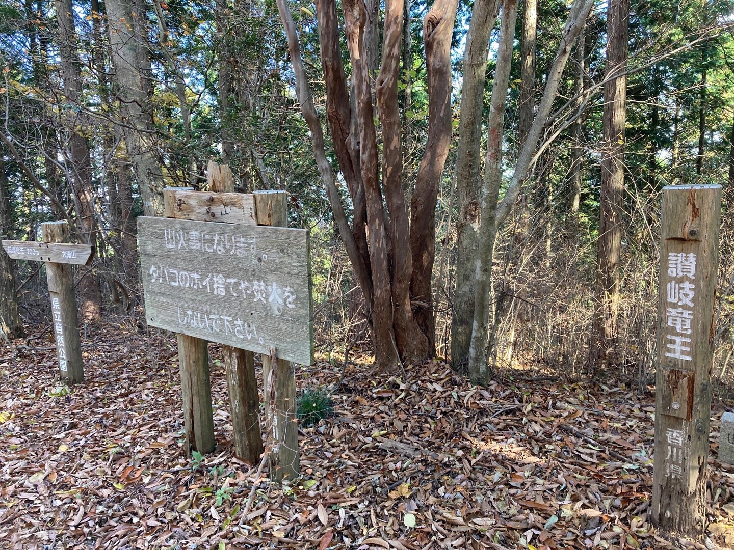 美女山・鷹林山・竜王山（讃岐竜王）・竜王山（阿波竜王） / lazyさんの竜王山（讃岐山脈）・大川山の活動データ | YAMAP / ヤマップ