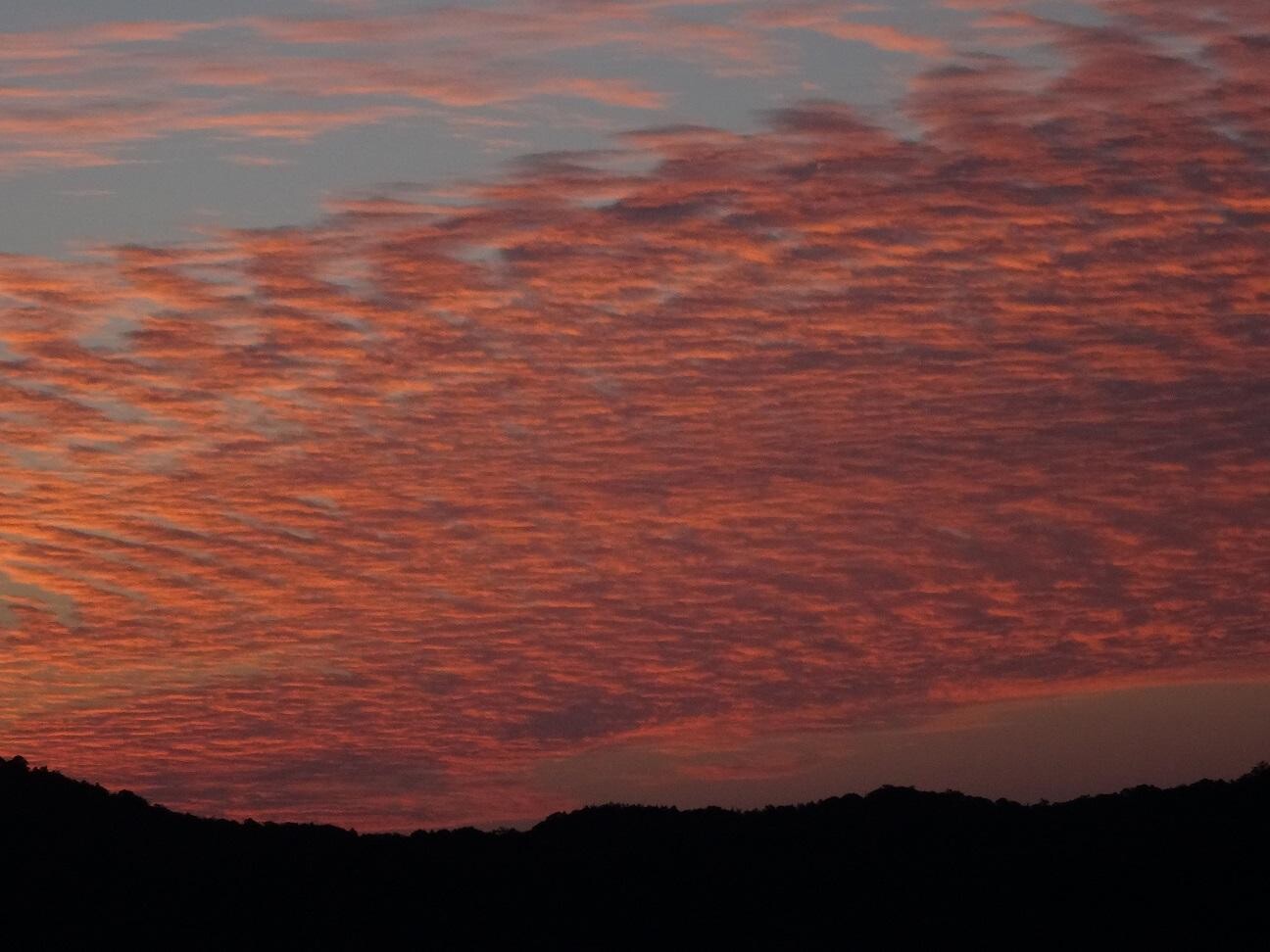 2022.10.01(土) 02:01 / panさんのモーメント | YAMAP / ヤマップ