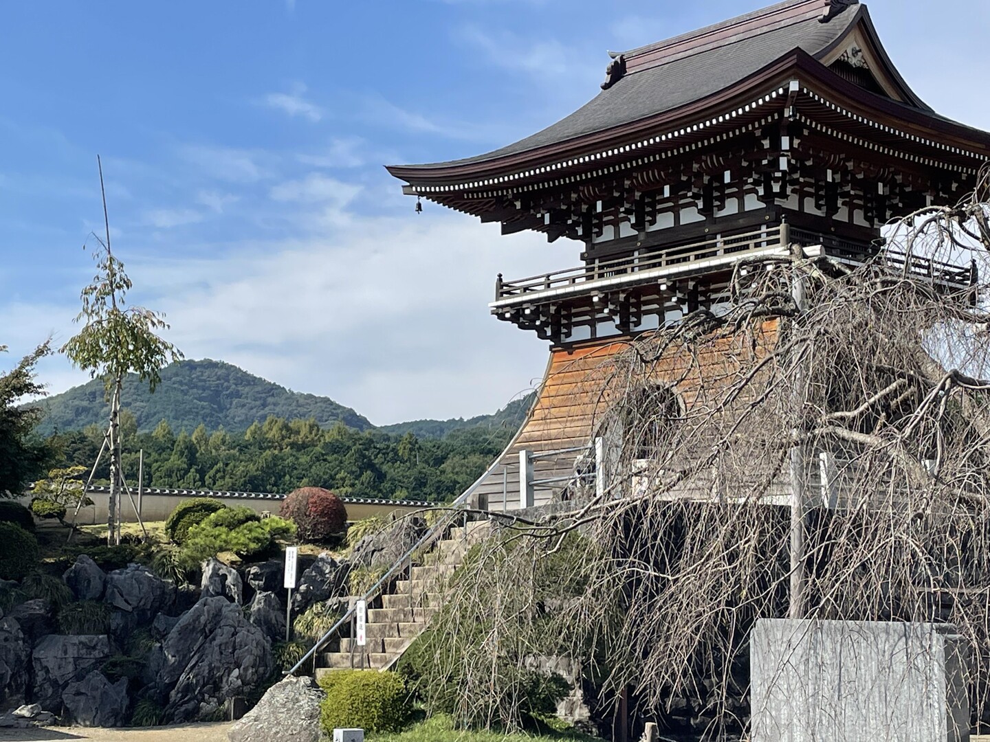 埼玉 秋葉山・オバケ山・黒仁田山2022-10-23 / monamonaさんの関八州見晴台の活動データ | YAMAP / ヤマップ