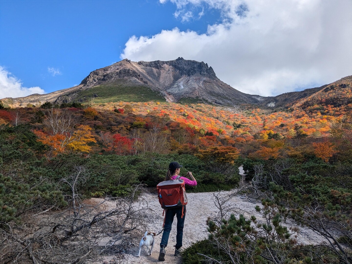 茶臼岳(那須岳)＆姥ヶ平🍁紅葉登山 / Veenaさんの茶臼岳（那須岳）・三本槍岳・赤面山の活動データ | YAMAP / ヤマップ