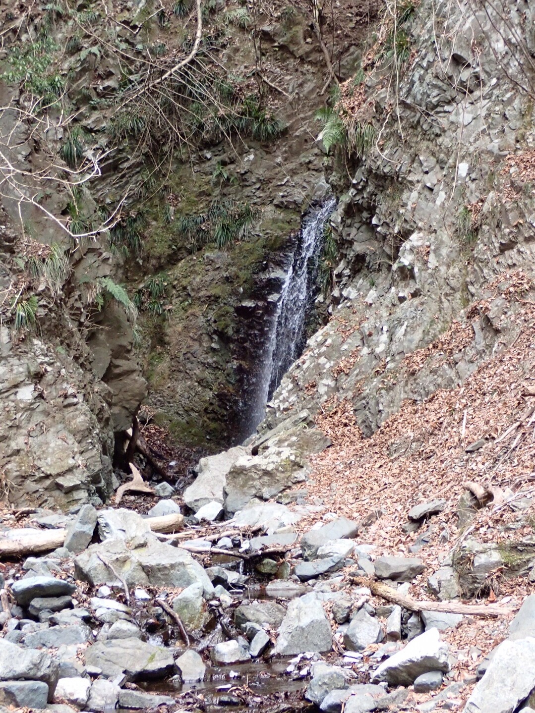塔の岳よ ️次回は晴れにしておくれ😭 / cassinaさんの塔ノ岳・丹沢山・蛭ヶ岳の活動データ | YAMAP / ヤマップ