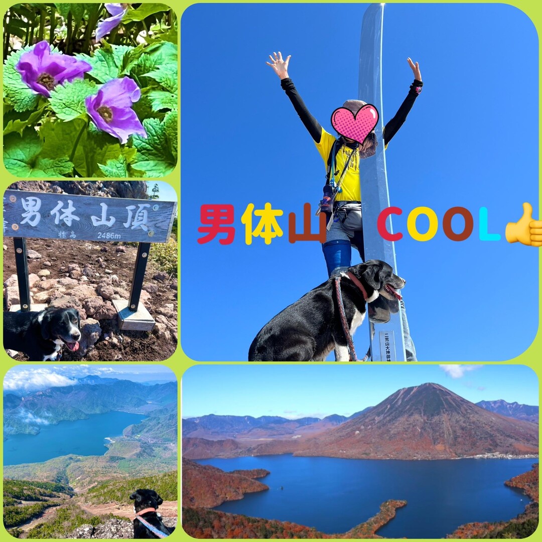 犬と山行🐕‍🦺雄々しくてcoolな男体山⛰️ / ミポリンさんの男体山の活動データ | YAMAP / ヤマップ