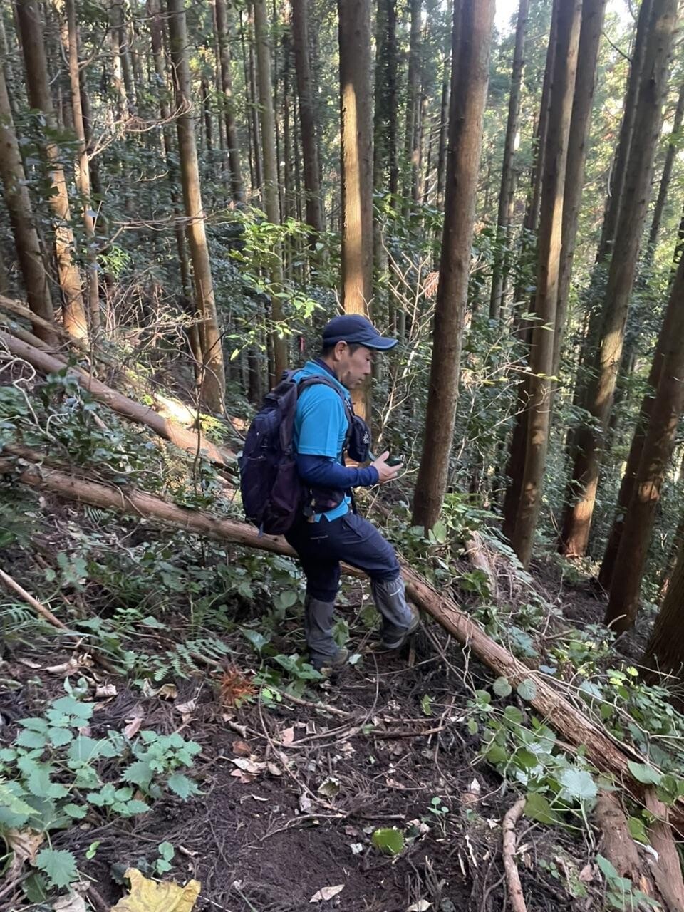 Seiji517のページ | YAMAP / ヤマップ