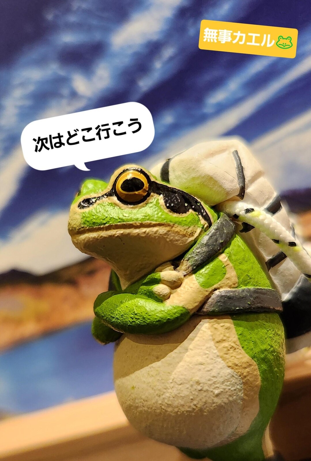 登山カエル🐸 無事カエル🐸 ガチャ... / ⛅のりじさんのモーメント | YAMAP / ヤマップ