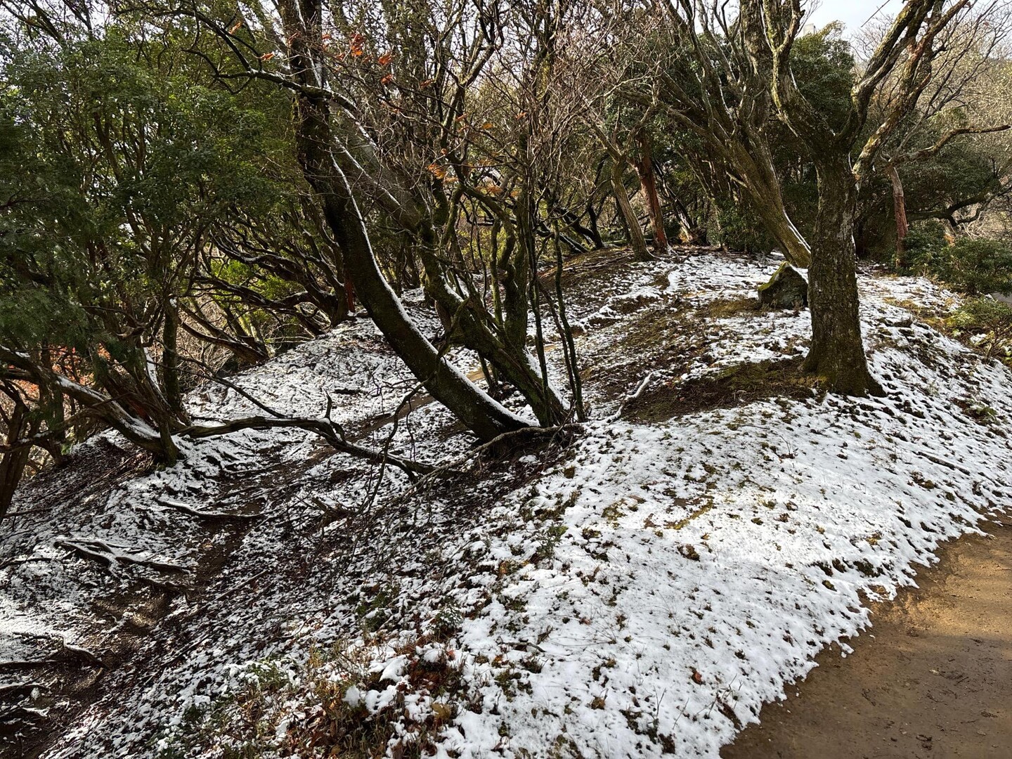 経ヶ峰東峰・経ヶ峰・大洞の峰・鳥羽尾の峰 / @Miju@さんの経ヶ峰の活動データ | YAMAP / ヤマップ