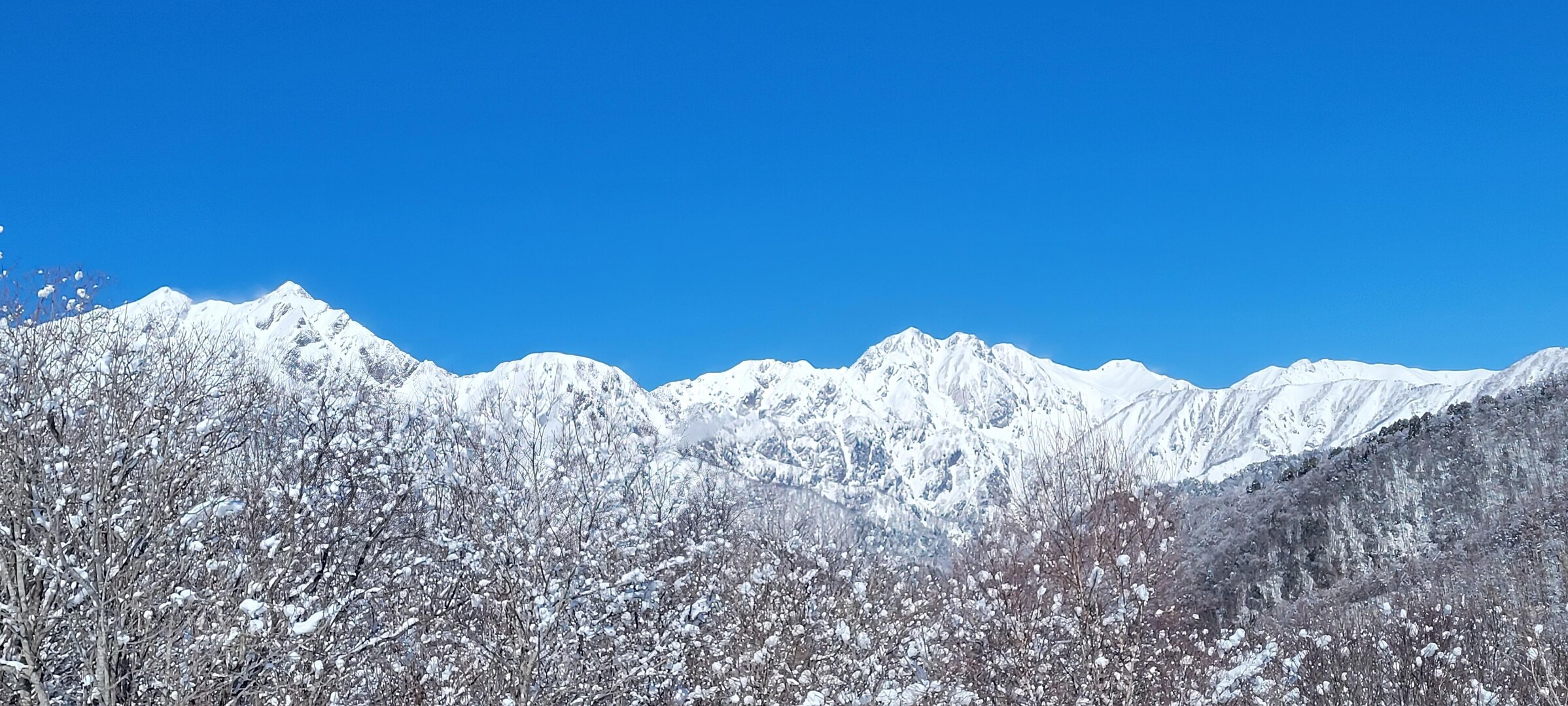 昨日の雨、山では雪でした。 クリアな青空... / hirohiroさんのモーメント | YAMAP / ヤマップ
