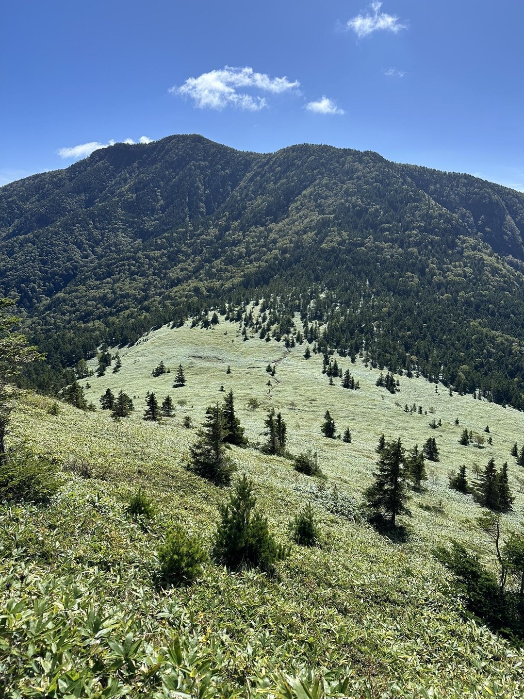 根子岳・四阿山・中四阿・小四阿 / emiさんの四阿山・根子岳の活動データ | YAMAP / ヤマップ