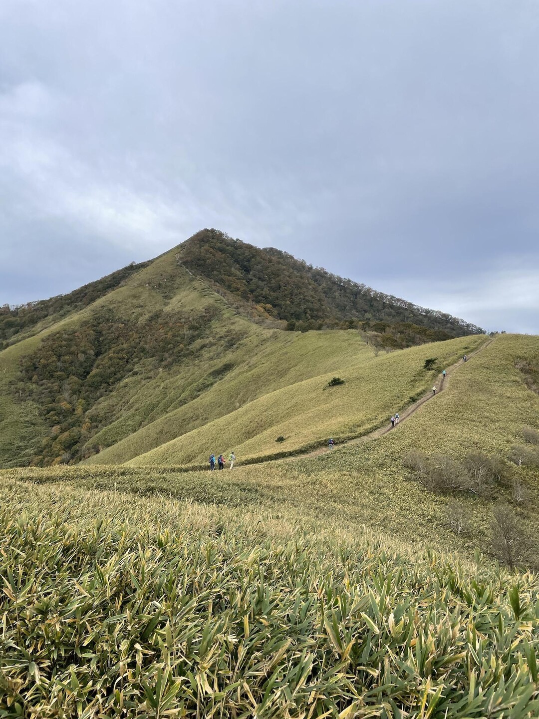 蒜山三山縦走（真庭市） / UAさんの蒜山の活動データ | YAMAP / ヤマップ
