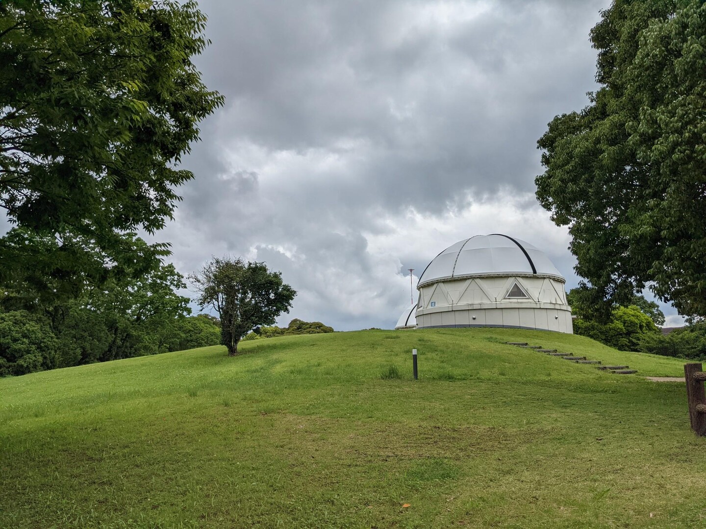 77,777mになるまで…岡本山😅 / フクハナさんの【公式】福岡市（防災情報含む）の活動日記 | YAMAP / ヤマップ