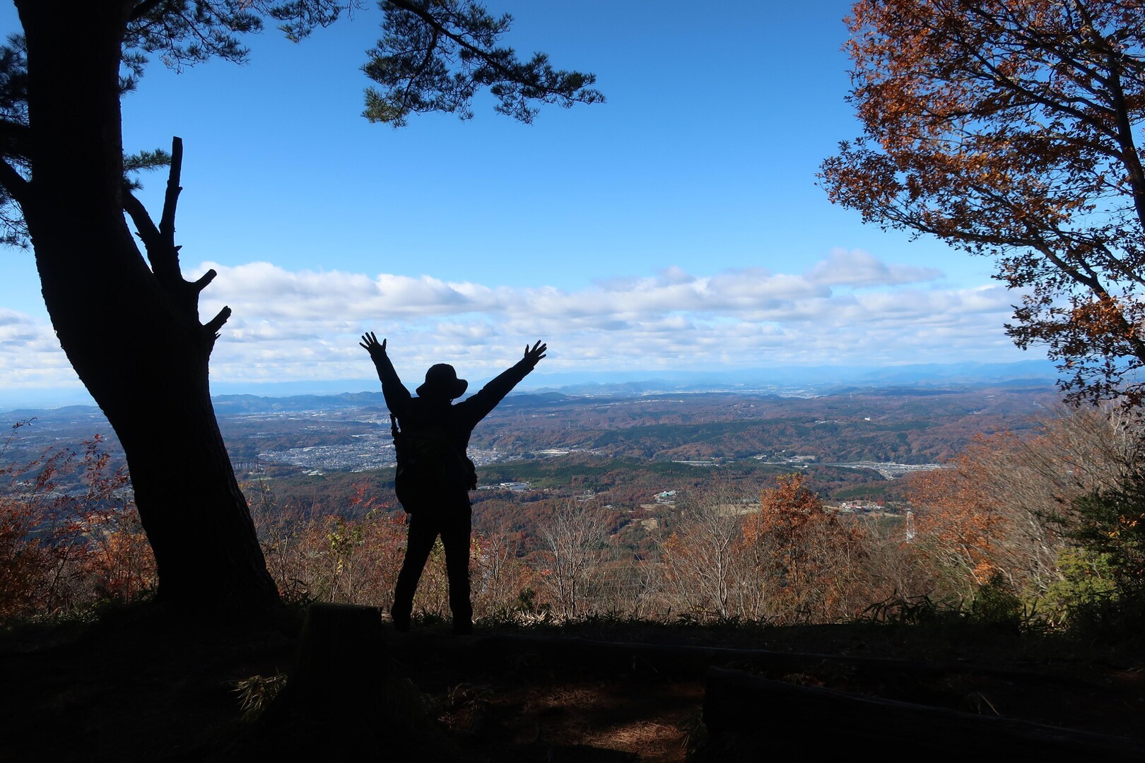 屏風山（秋）大草P～馬の背山～黒の田湿地～八百山～屏風山～北屏風山周回 / ukonさんの屏風山の活動データ | YAMAP / ヤマップ