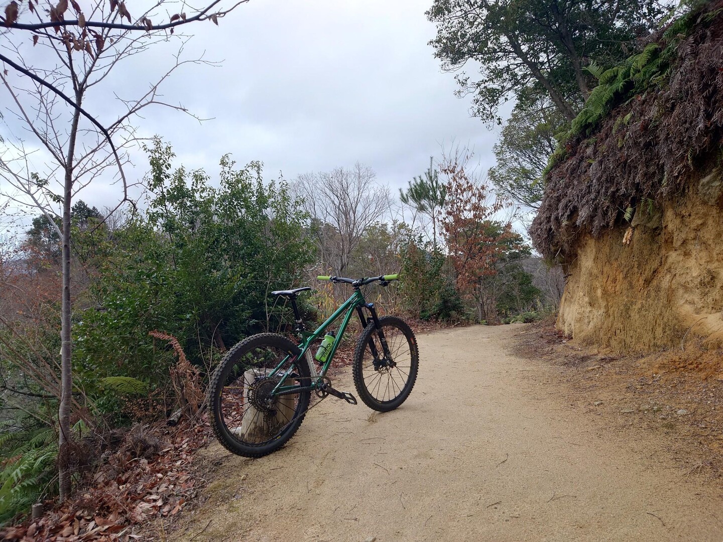 MTB Riding@裏山 / ひでたかさんのサイクリングの活動データ | YAMAP / ヤマップ
