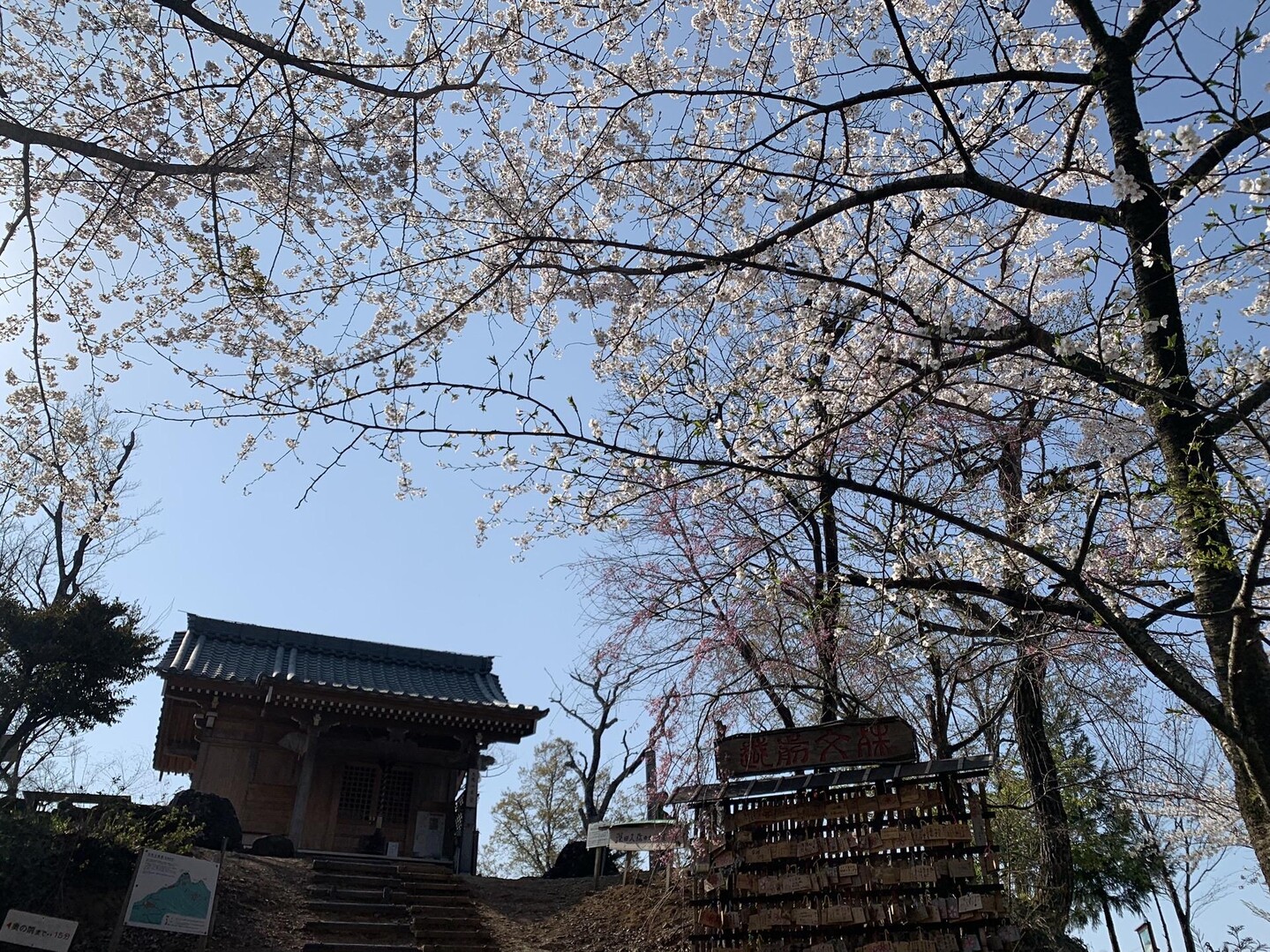 撃沈 MJ / おやじさんの文殊山の活動データ | YAMAP / ヤマップ