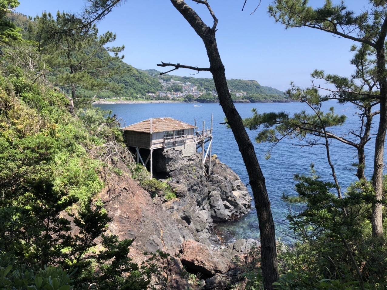 城ヶ崎海岸ピクニカルコース-2021-05-23 / Susan.Sさんの城ヶ崎海岸ピクニカルコースの活動データ | YAMAP / ヤマップ