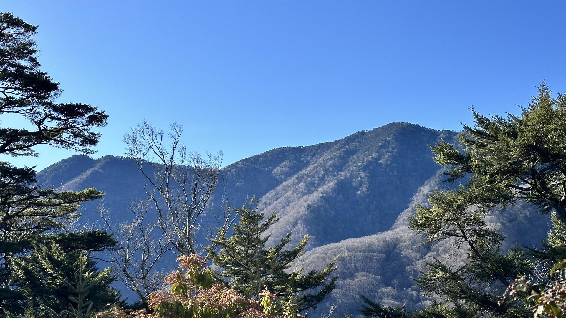 辰年なので飛龍山に登りました！飛龍権現に... / otouさんのモーメント | YAMAP / ヤマップ